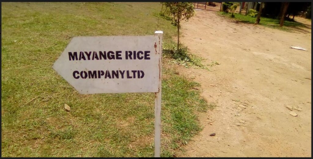 Bugesera : Twasuye Uruganda rwa Mayange Rice Company LTD – igisabo.rw