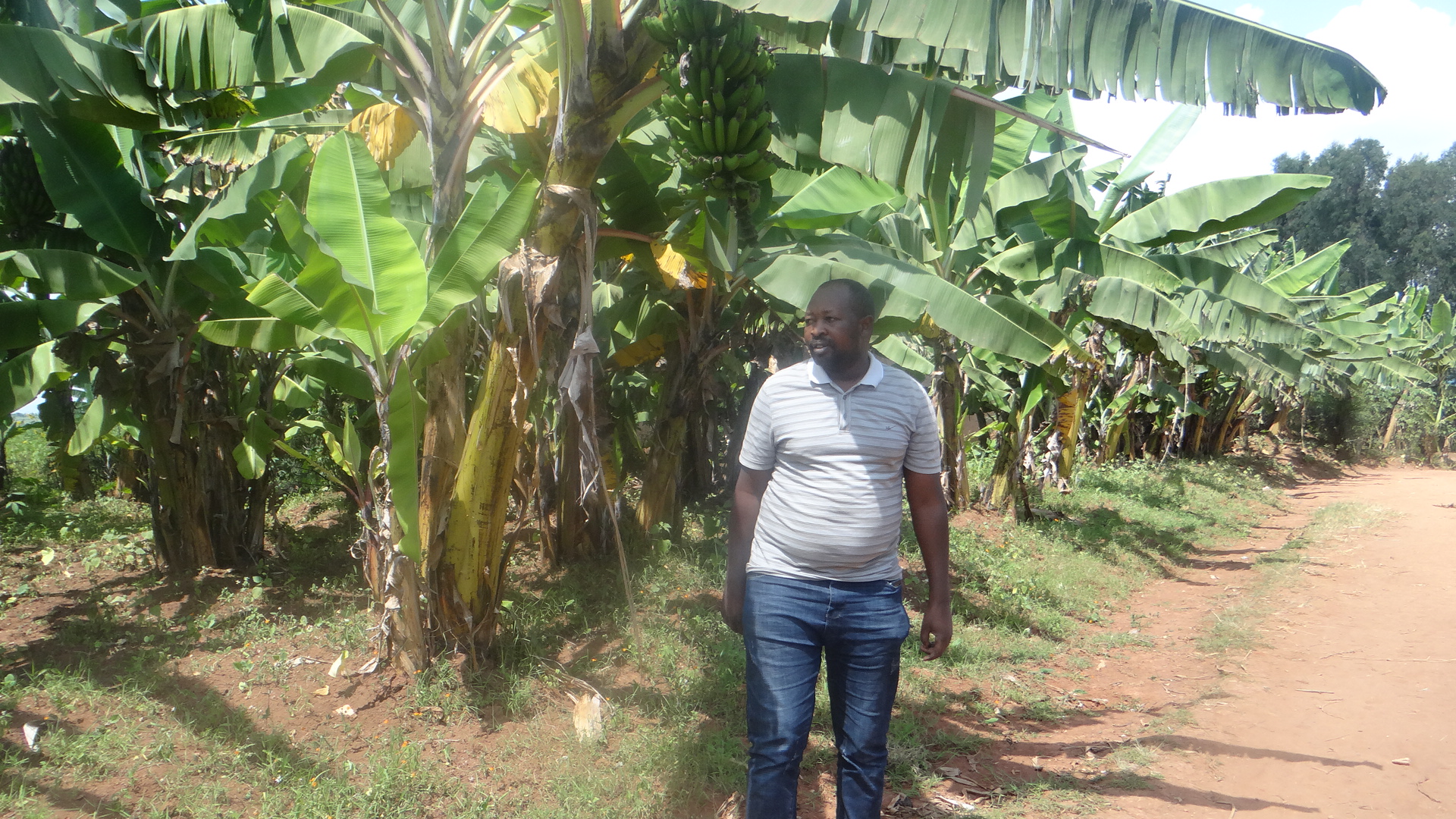 Huye : Uruganda Indakamirwa ltd ruri ku isonga mu kongerera agaciro ...