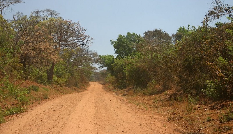 Malawi: Umugabo ukomoka mu Rwanda yafatanywe magendu y’amakara – igisabo.rw