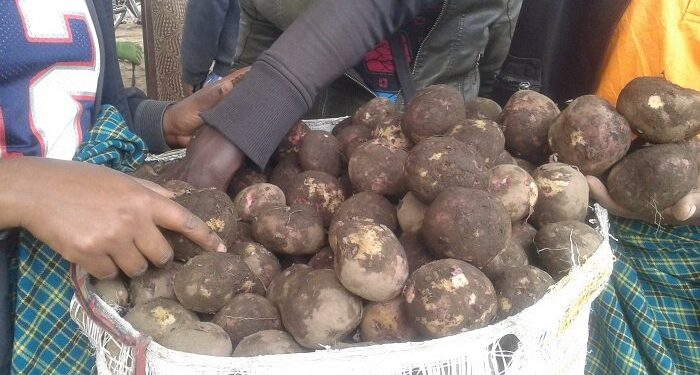 Ahafatwaga nk’ikigega cy’ibirayi naho birarya umugabo bigasiba undi ...