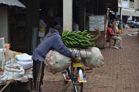 Henshi mu Rwanda barataka inzara – igisabo.rw